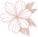 Swakaaya (Wellness Clinic)