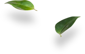 Swakaaya (Wellness Clinic)